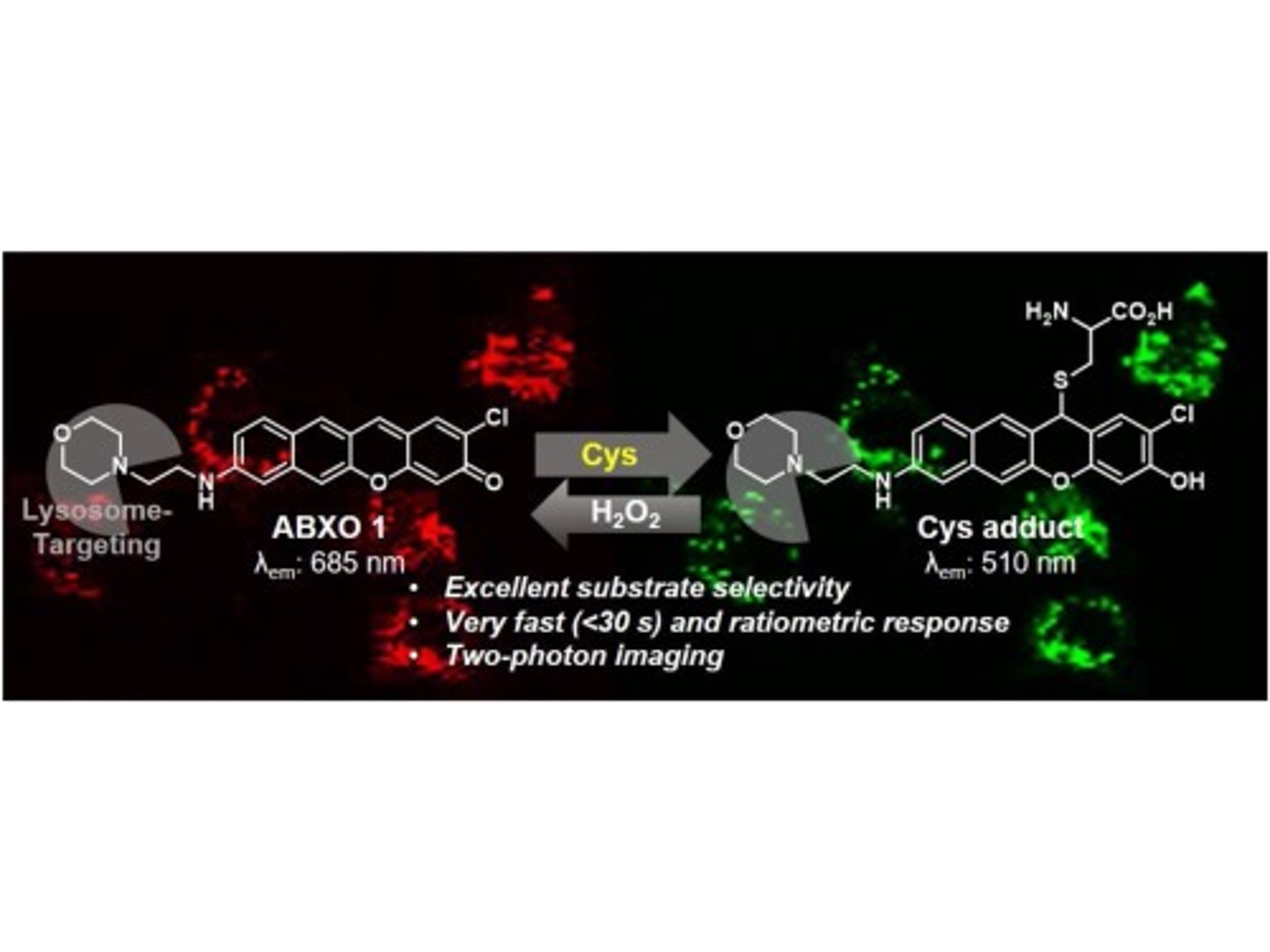2011 – Present – Ahn Lab, POSTECH