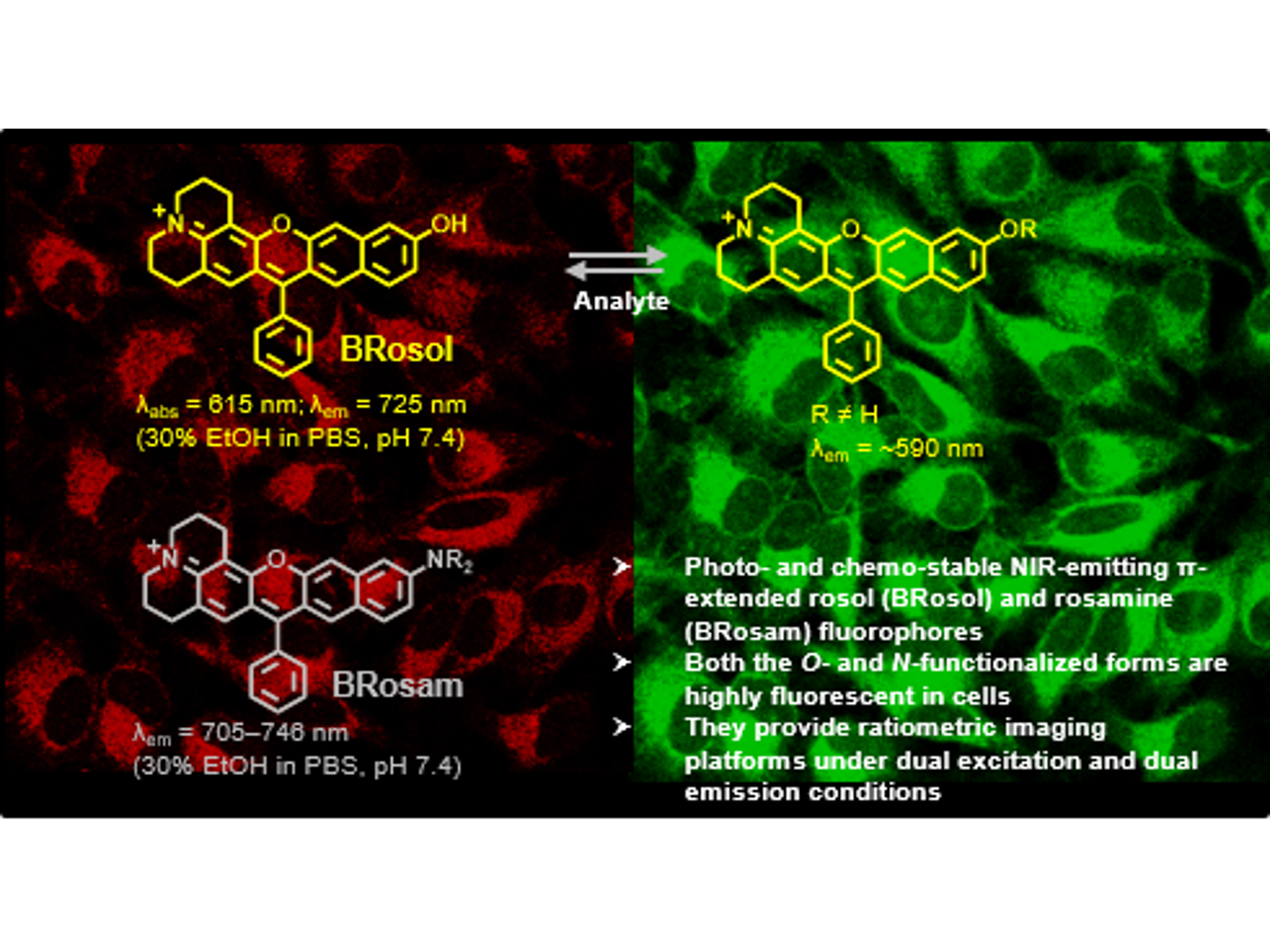 2011 – Present – Ahn Lab, POSTECH