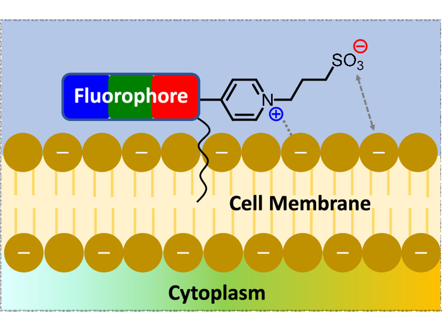 2011 – Present – Ahn Lab, POSTECH