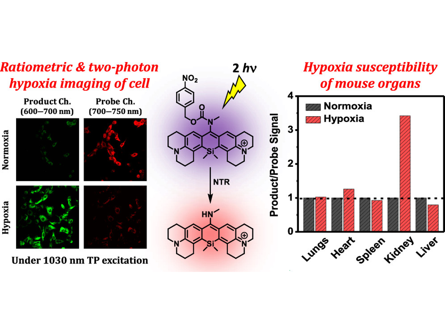 2011 – Present – Ahn Lab, POSTECH