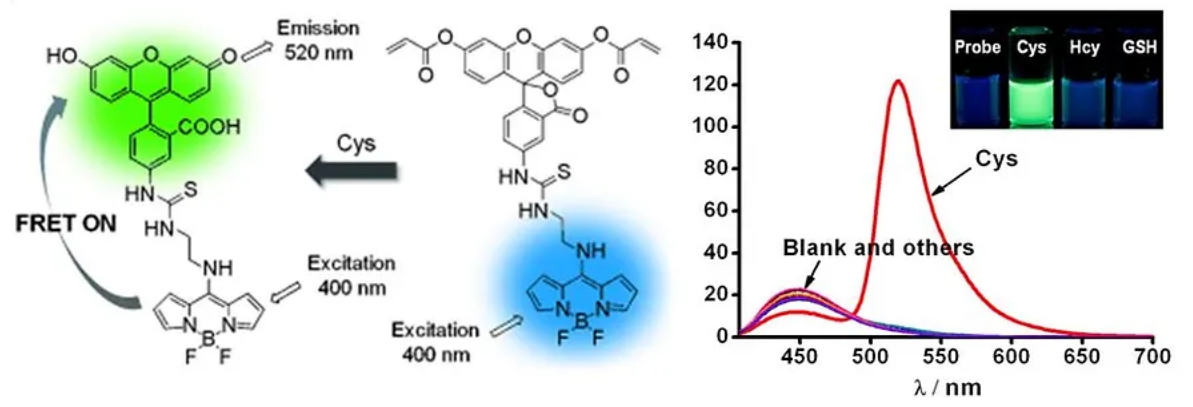 Molecular Probe – Ahn Lab, POSTECH