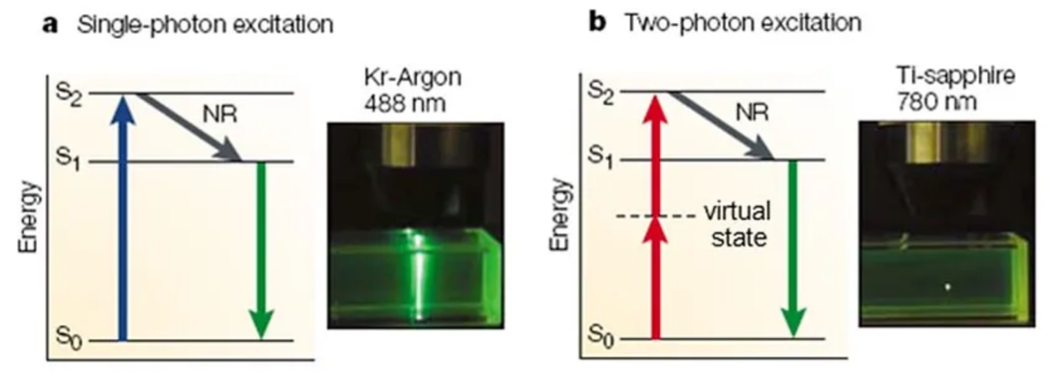 Two-Photon Probe – Ahn Lab, POSTECH