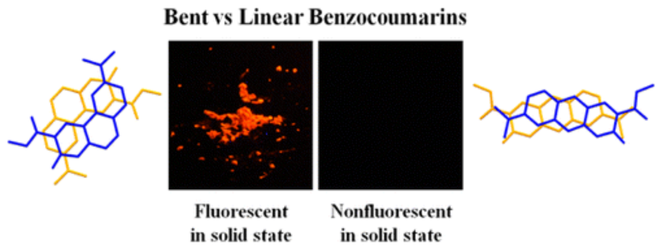 Two-Photon Probe – Ahn Lab, POSTECH