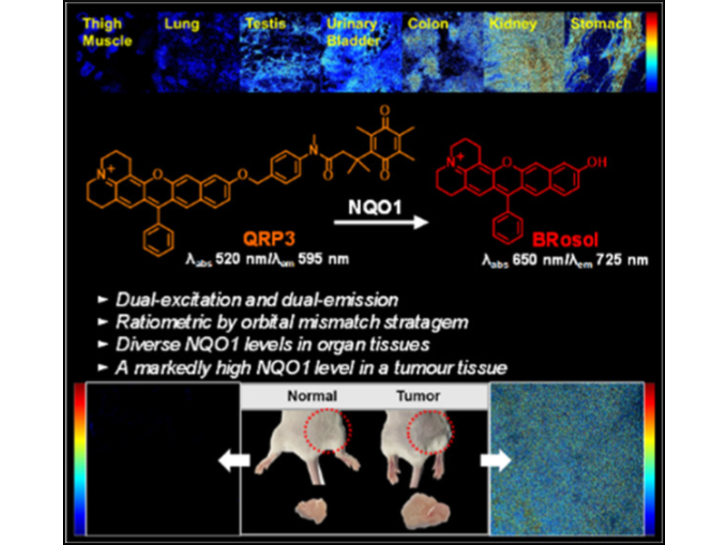 2011 – Present – Ahn Lab, POSTECH