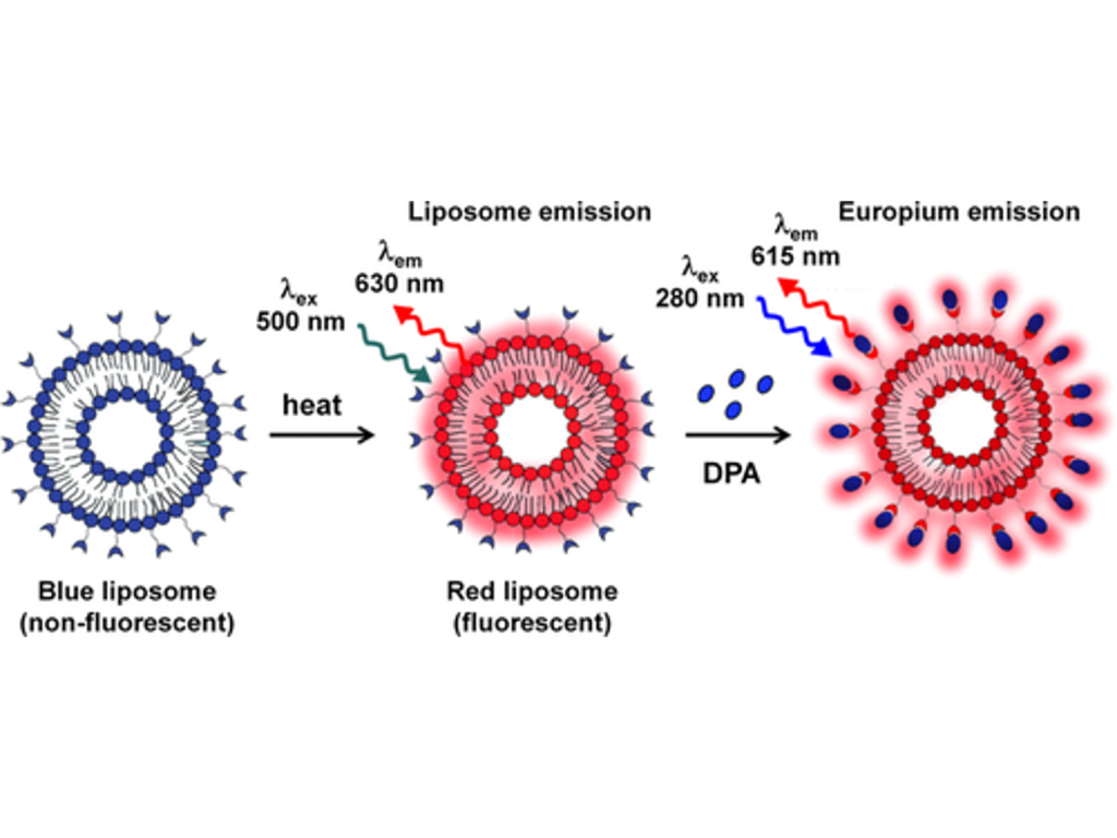 2011 – Present – Ahn Lab, POSTECH
