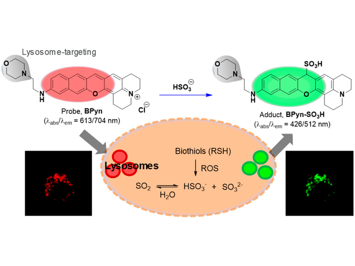 2011 – Present – Ahn Lab, POSTECH