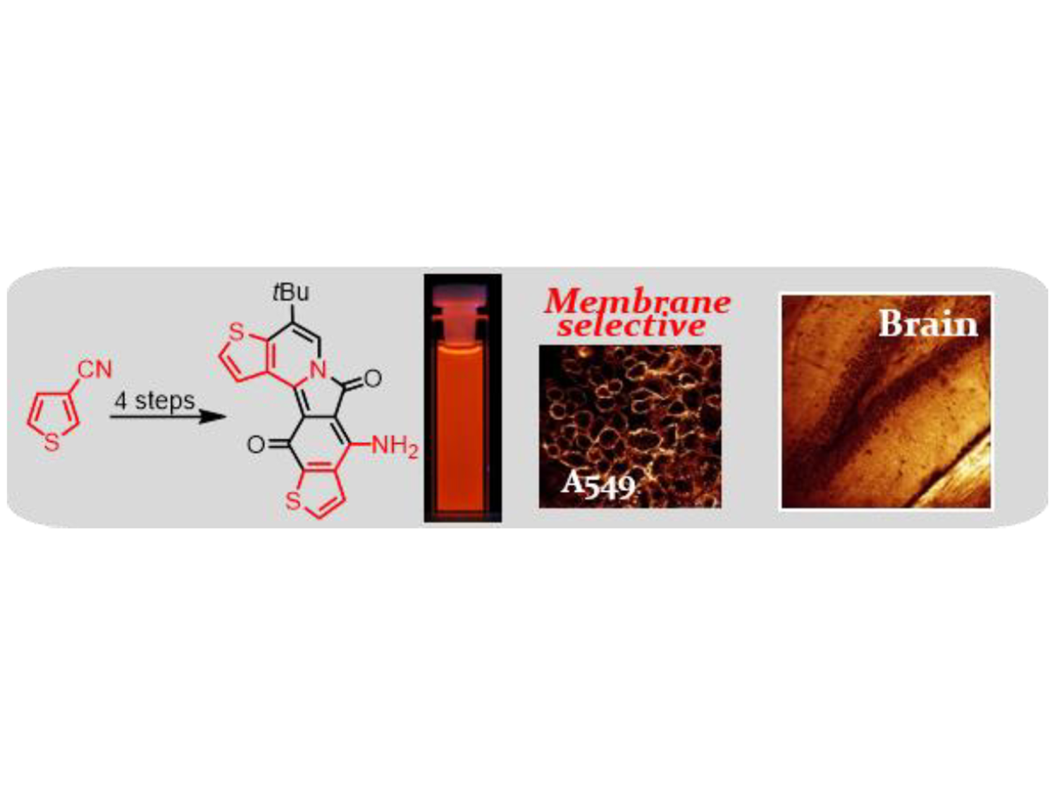 2011 – Present – Ahn Lab, POSTECH