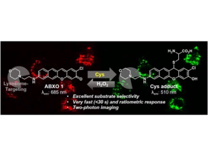 2011 – Present – Ahn Lab, POSTECH