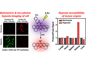 2011 – Present – Ahn Lab, POSTECH